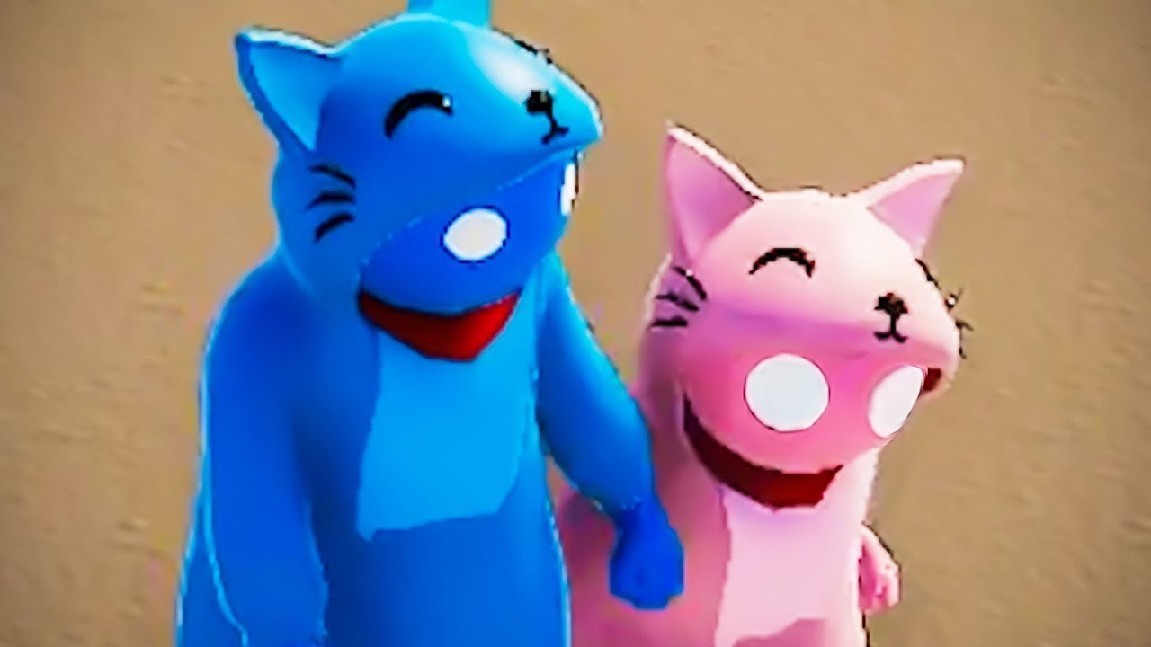 A Cat Meets Jimmy - YouTube