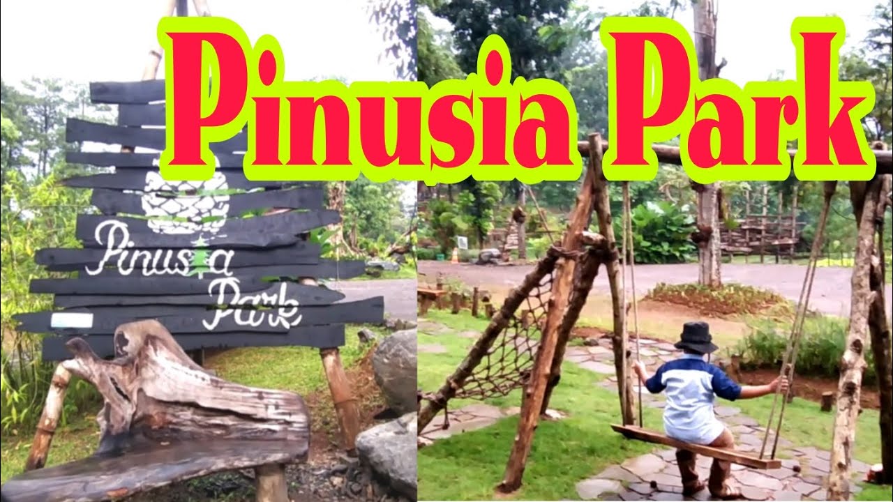 Pinusia Park - YouTube