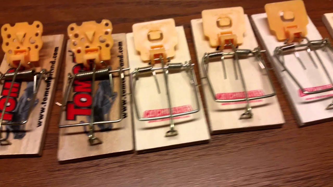 How to bait mouse traps safely - YouTube
