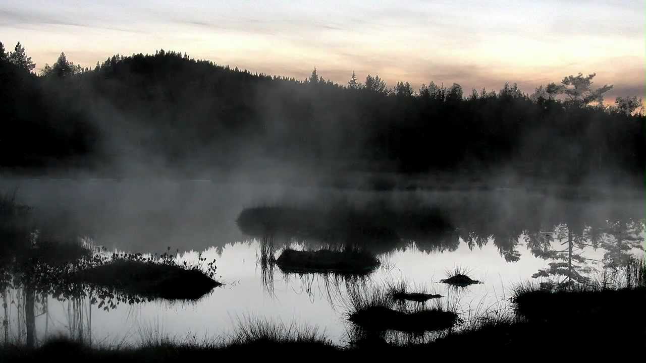 Moorlands and views: Late summer in Nordmarka – the outback of Oslo ...