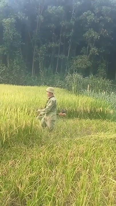 hnub nó peb mus hlais liaj os - YouTube