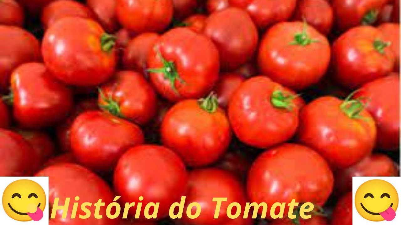 A HISTORIA DO TOMATE - YouTube