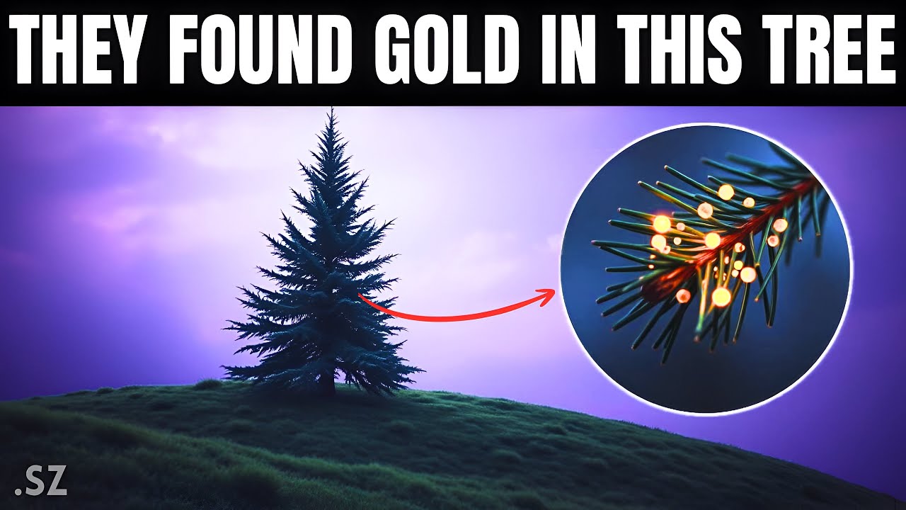 The mysterious GOLD GROWING TREES of Finland - YouTube