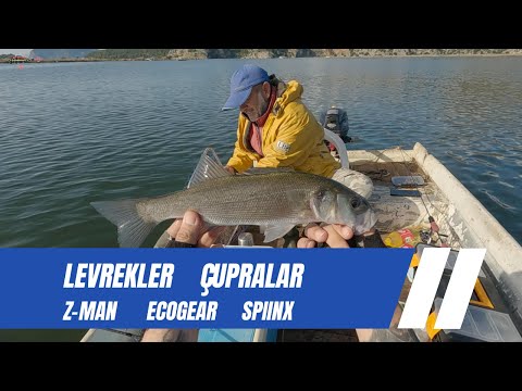 LEVREK VE ÇUPRA AVI