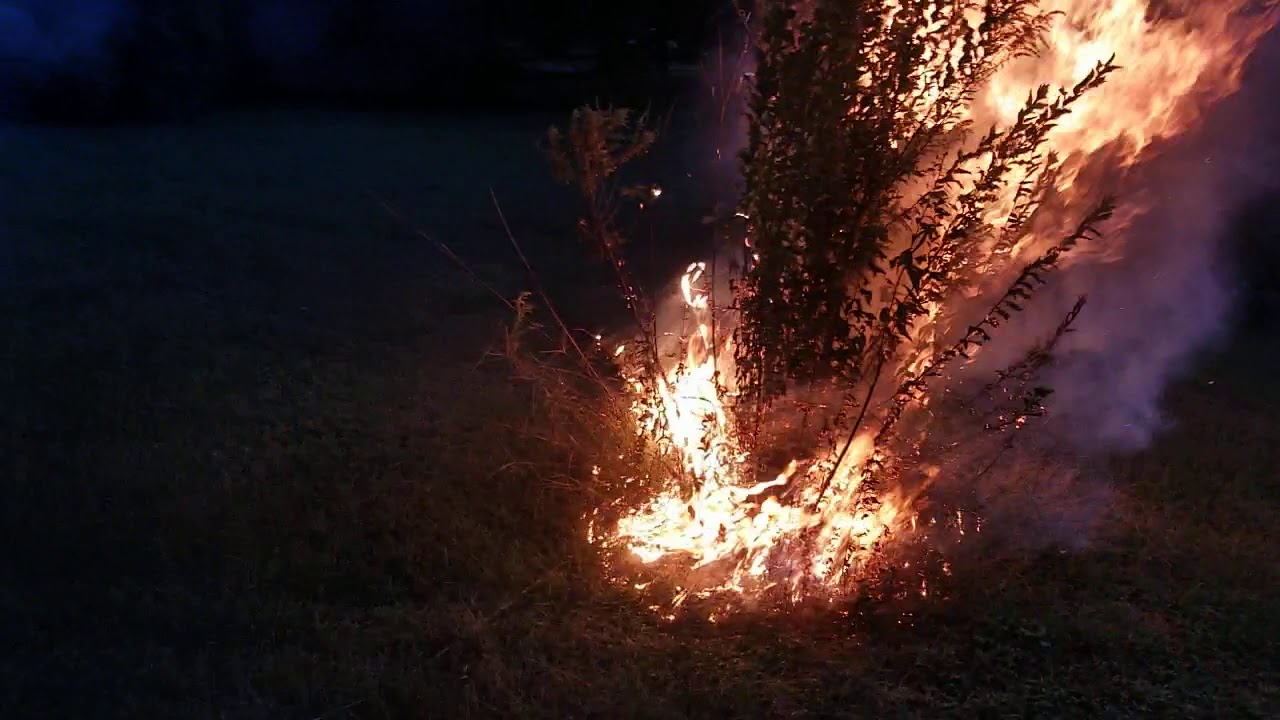 ThrowFlame X15 brush removal - YouTube