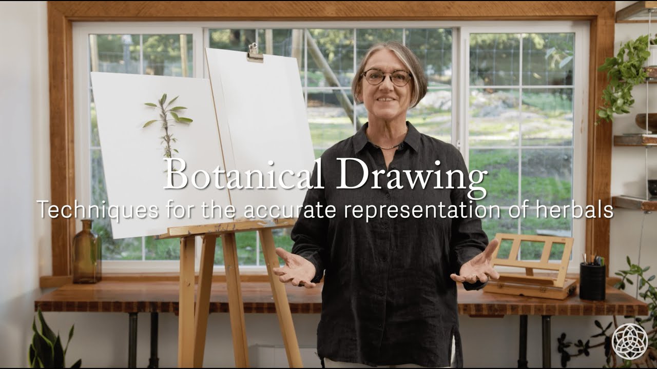 Botanical Drawing Full Teaser - YouTube
