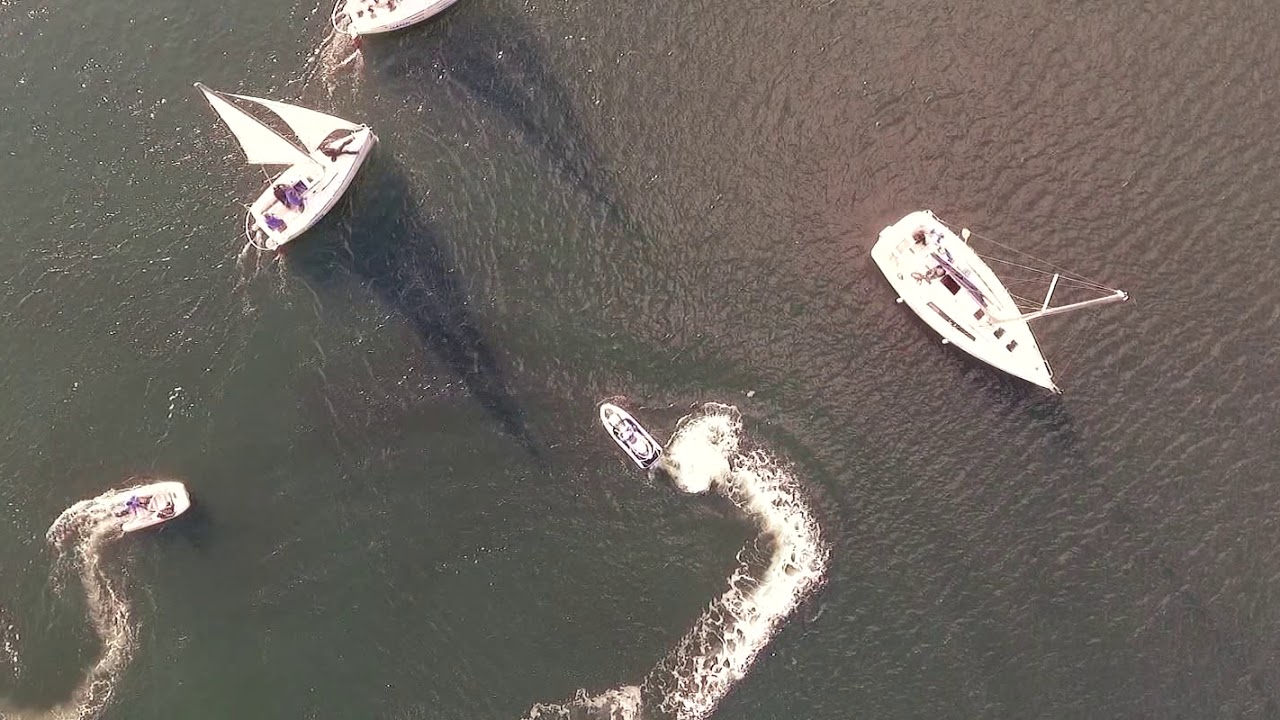 MatchRace - Limanu LifeHarbour - YouTube