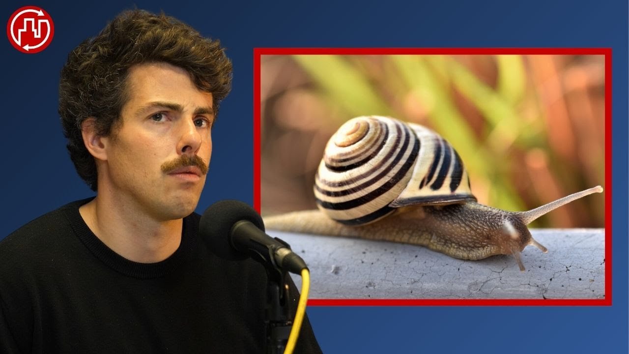 Timothée Parrique explique comment on devient décroissant - YouTube