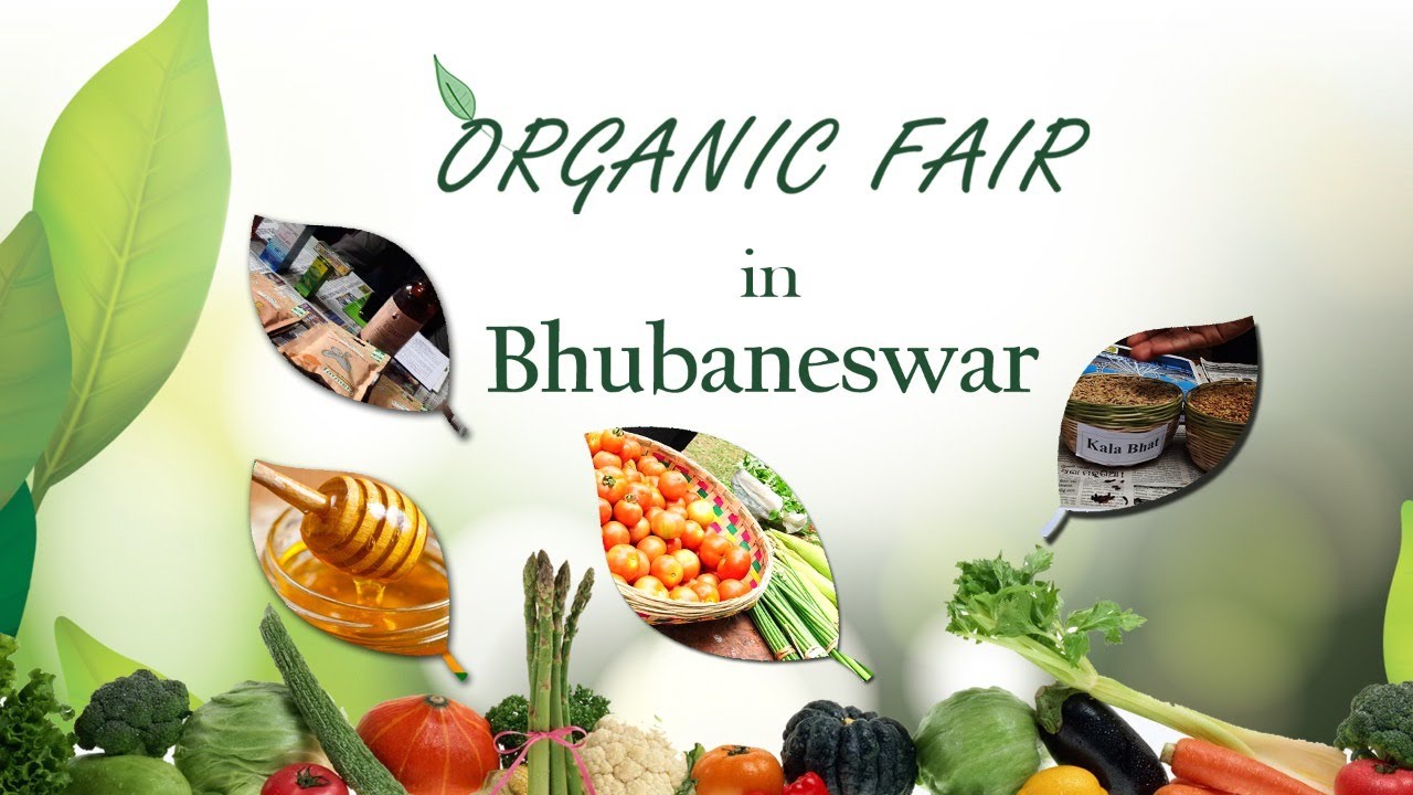 Organic Fair in Bhubaneswar - YouTube