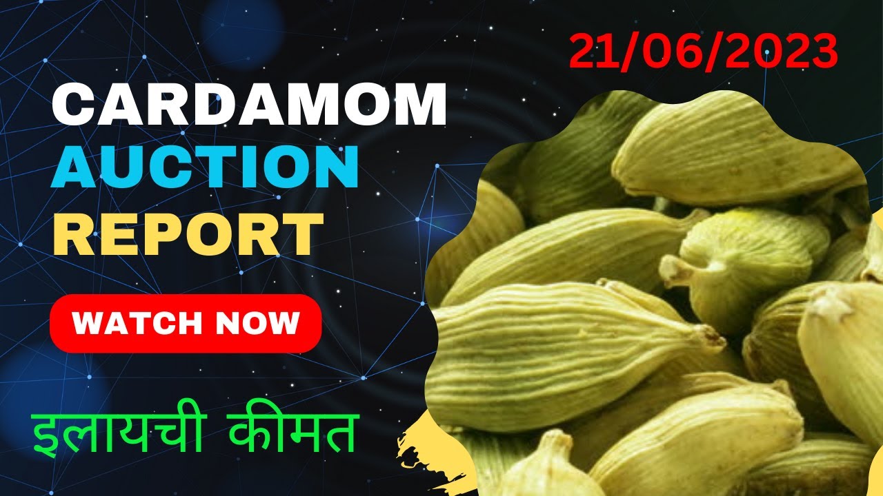 Cardamom Auction At Bodinaikanur | போடிநாயக்கனூரில் 21/06/2023 நடந்த ...