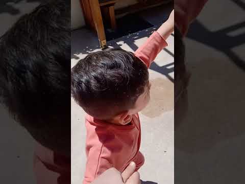 Orhan Adil in sürprizi akülü araba