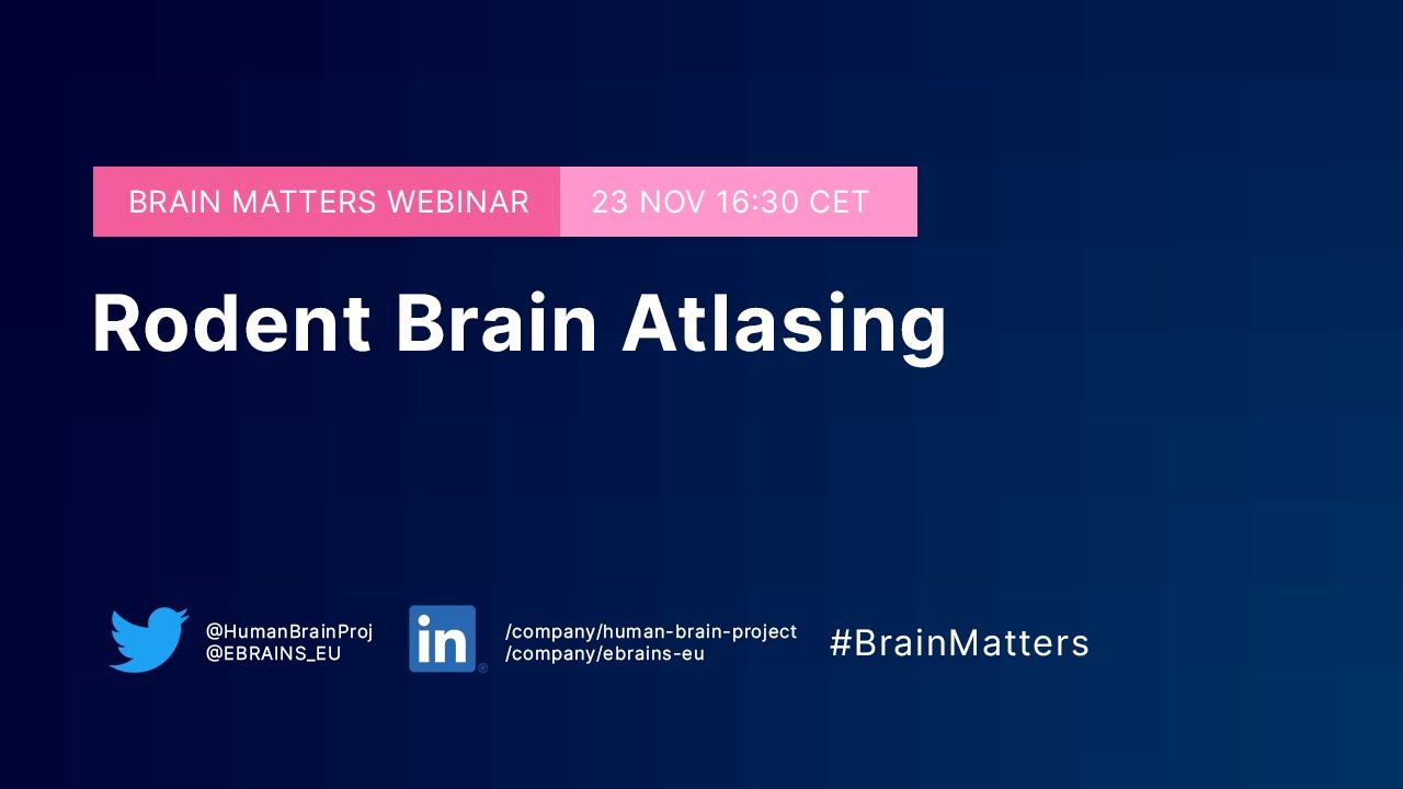 Brain Matters #12 - "Rodent Brain Atlasing" - YouTube