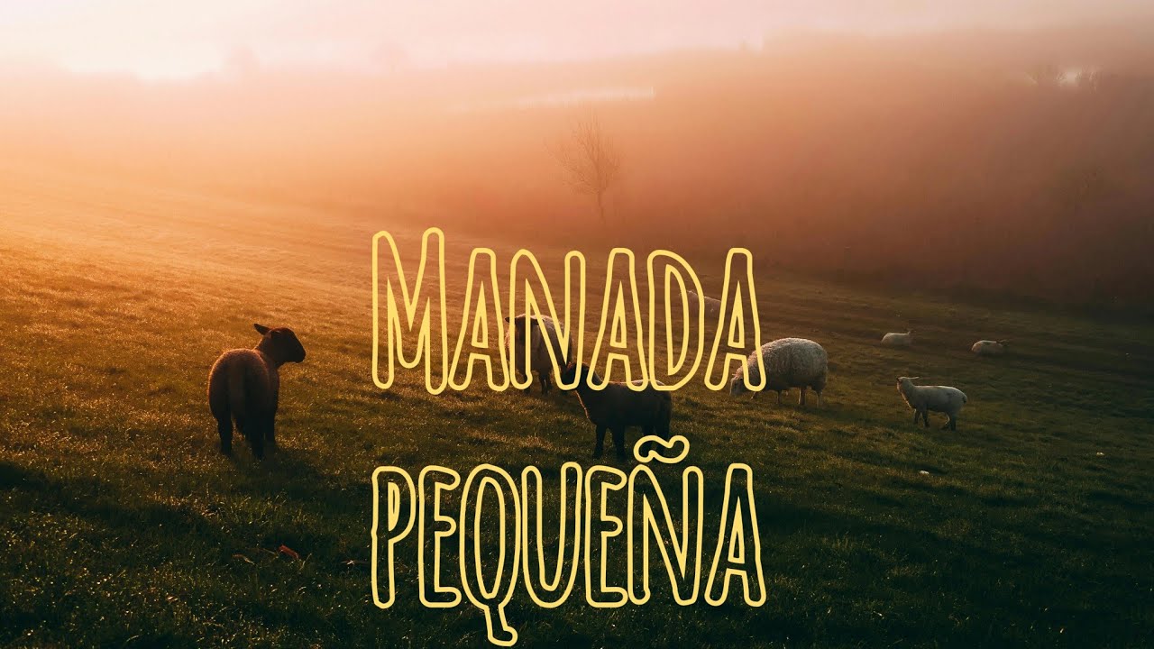 Manada Pequeña - YouTube