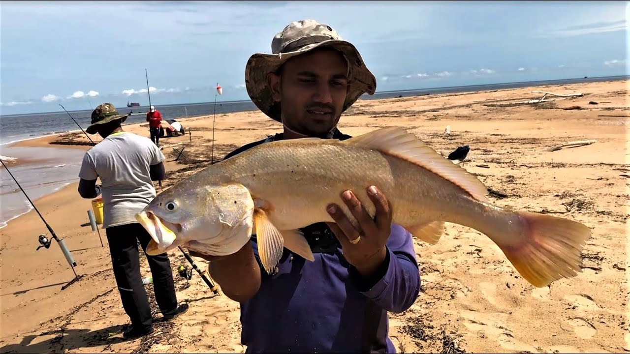 Beach fishing at Braamspunt - Suriname - YouTube
