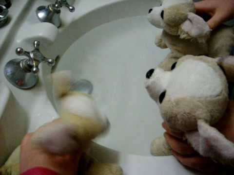 Webkinz Pool Party! - YouTube