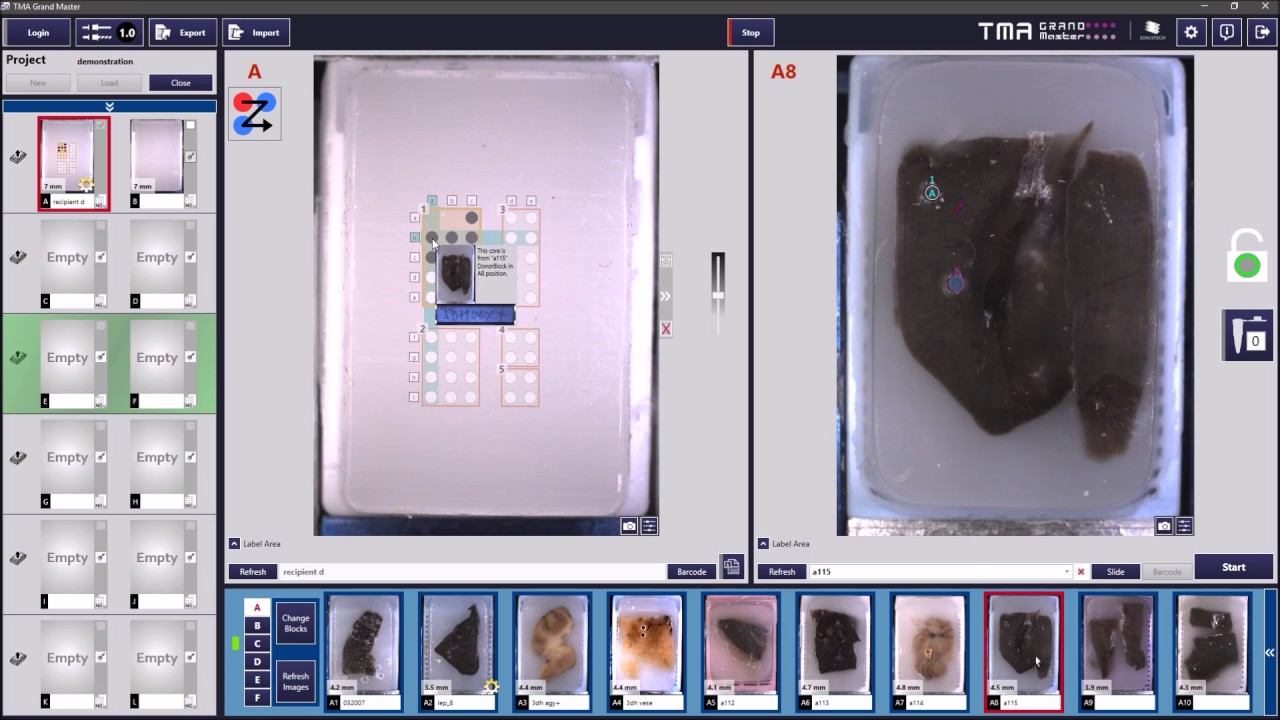 3DHISTECH - TMA Grand Master Video Tutorial Part2 - YouTube