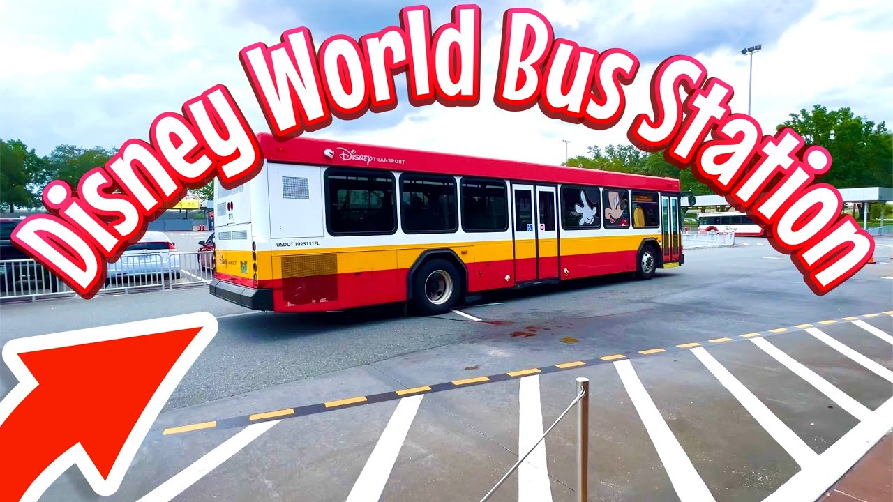 🚌 Bus, Buses, Bus Driver, Bus Driving, Disney World Bus, Disney World ...