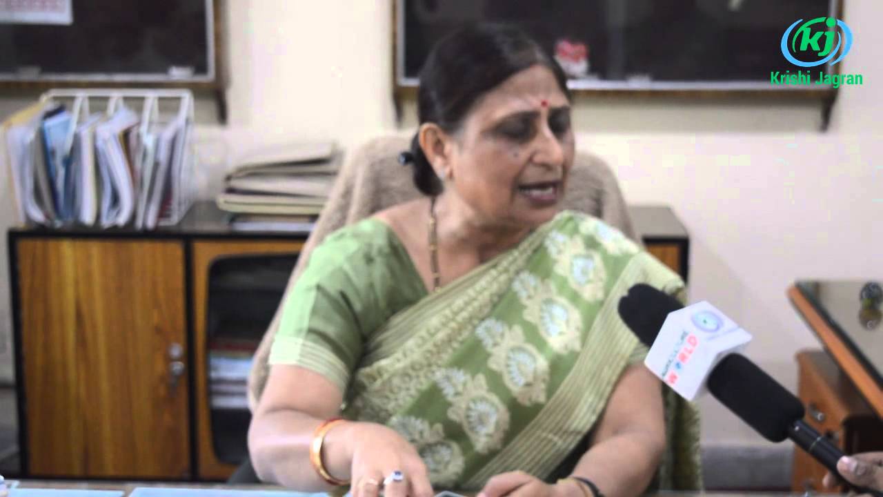 Interview : Dr Meera Singh (Dean of Home Science) RAU, PUSA - YouTube