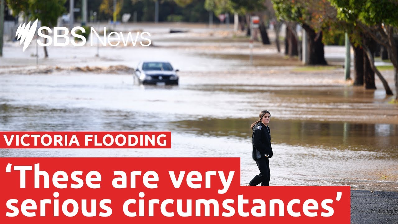 Towns without power as Victoria clean-up continues | SBS News - YouTube