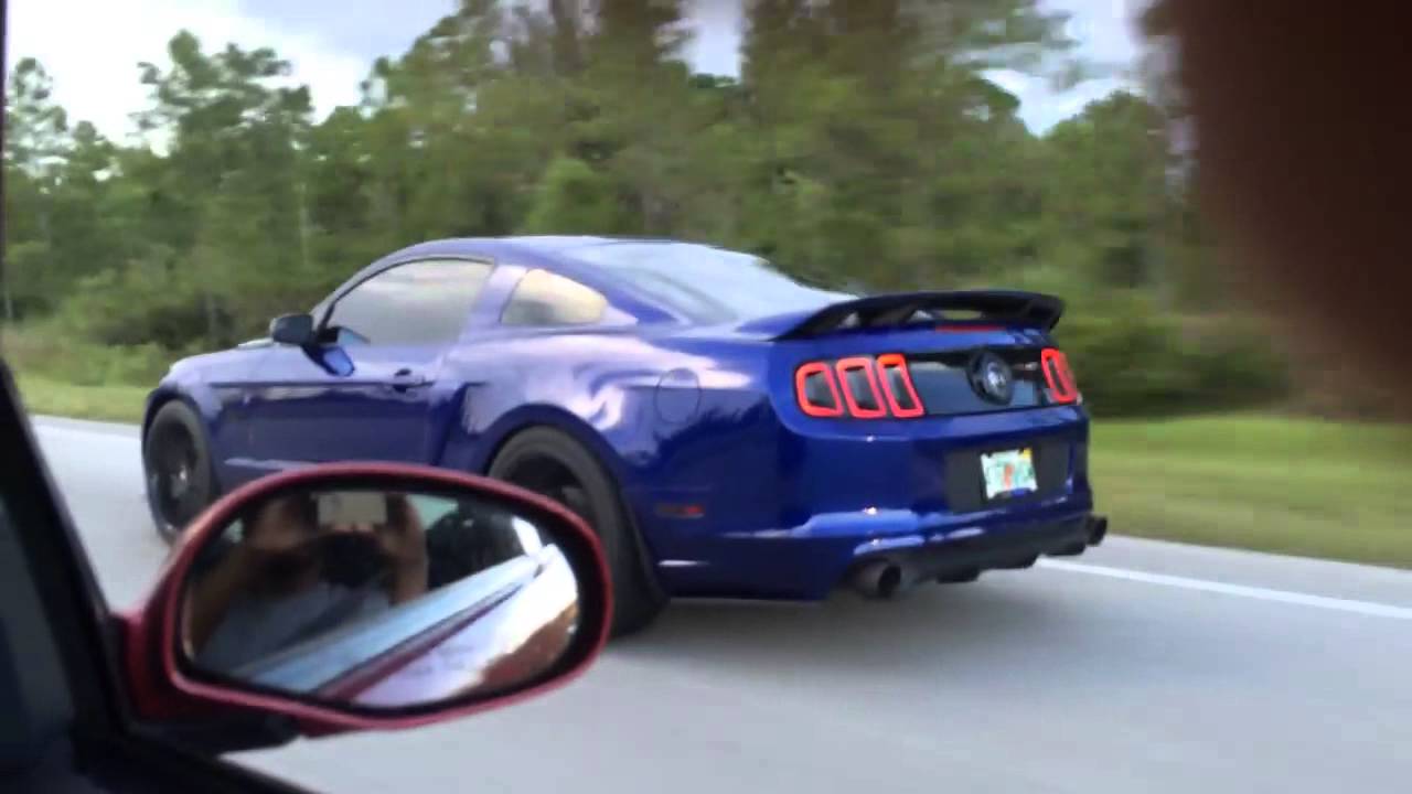 Cobra Terminator vs 2013 5.0 Mustang California Edition - YouTube