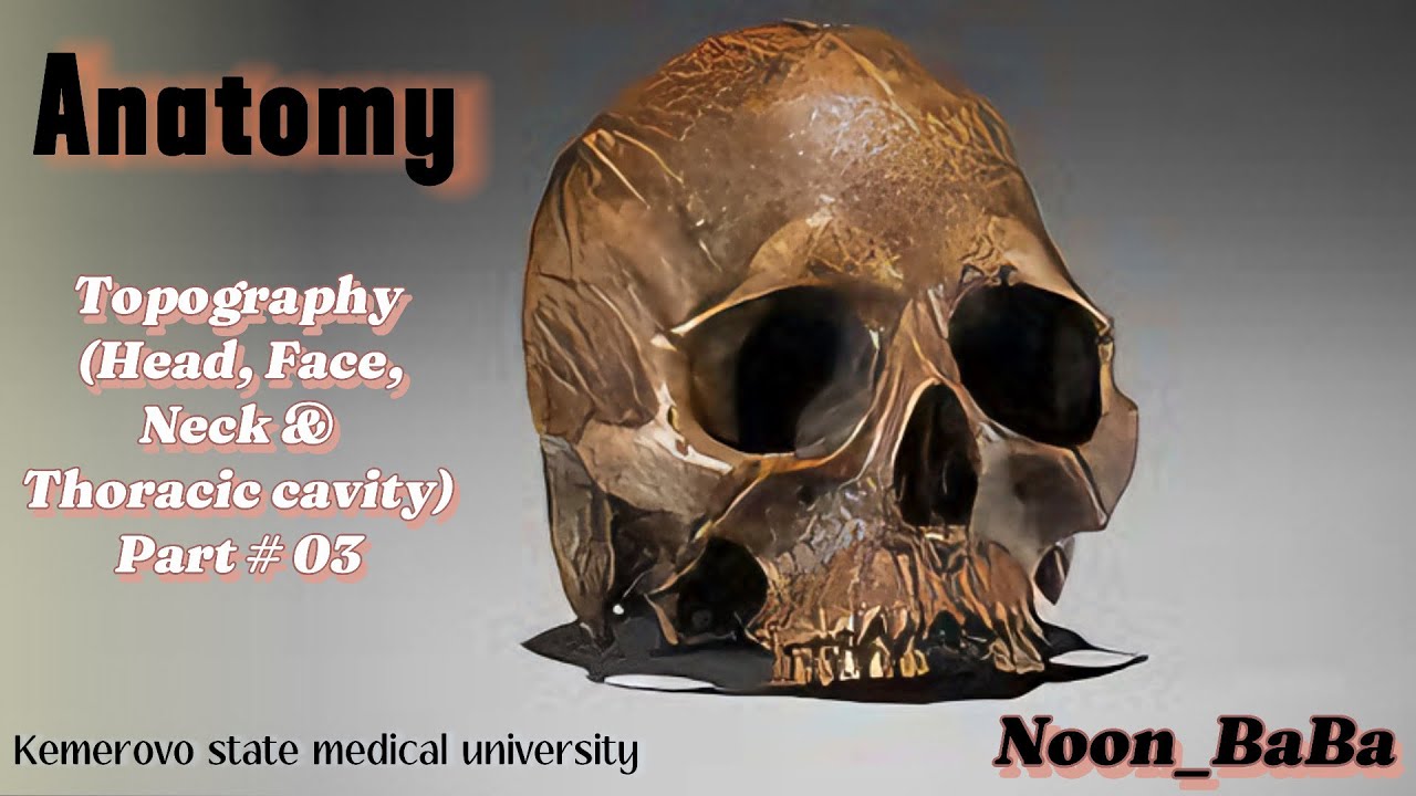 Topographical structures (Part # 03) | Head, neck & thoracic region ...