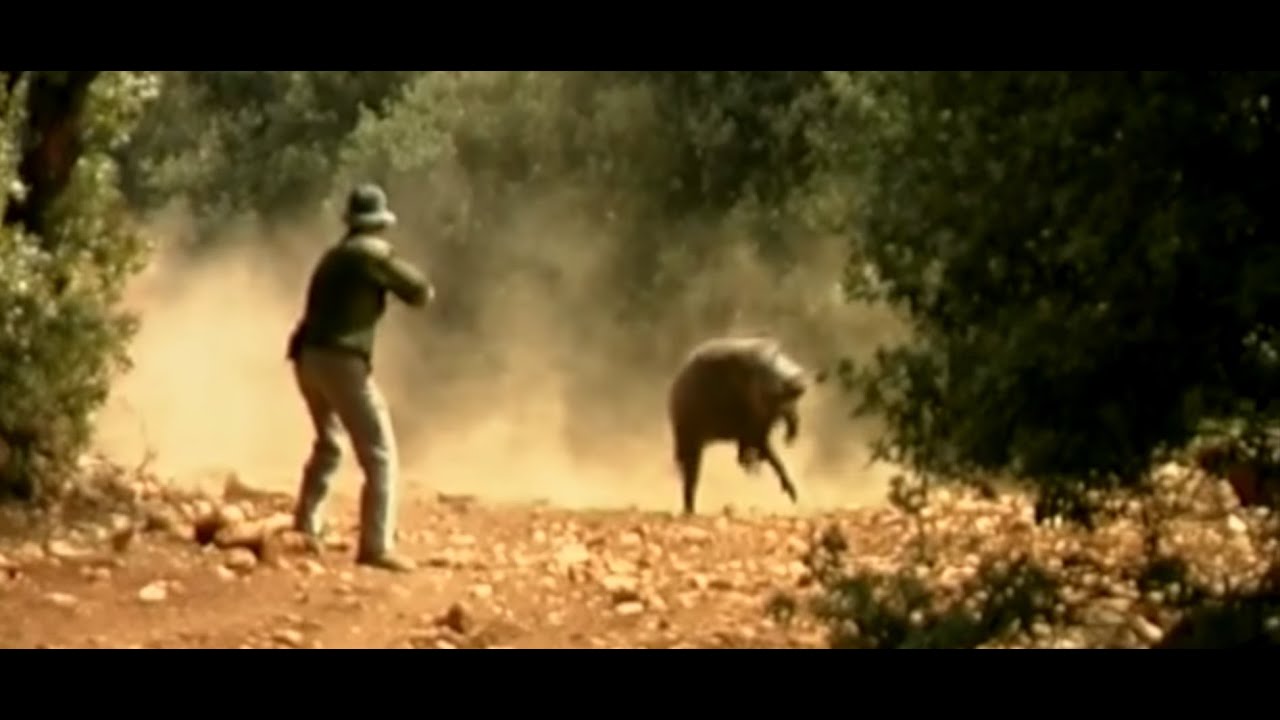 The 5 most powerful attacks of a wild boar on the sniper are ...