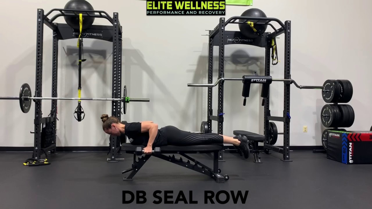 Dumbbell Seal Row - YouTube
