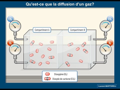 ✅ Qu'est-ce que la diffusion d'un gaz?