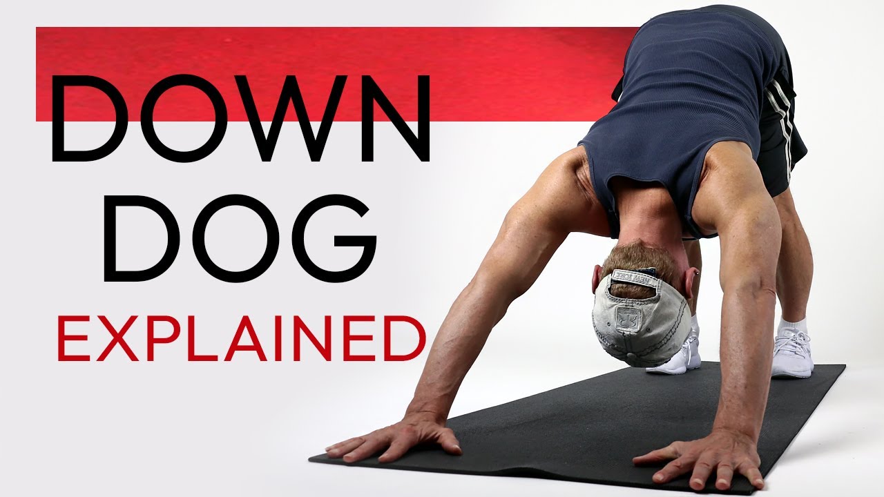Downward Facing Dog for Strength and Flexibility - YouTube