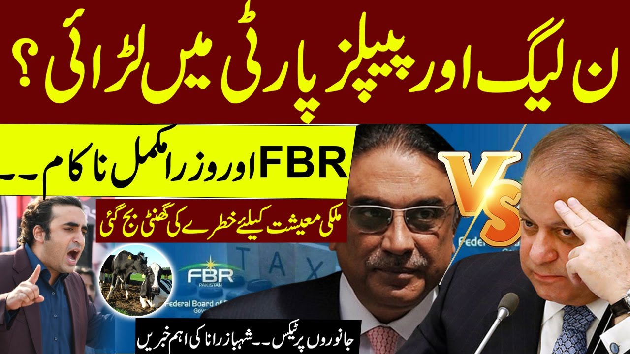 Fight Between PML-N and PPP? | Tax On Animals.. Shahbaz Rana Reveals ...