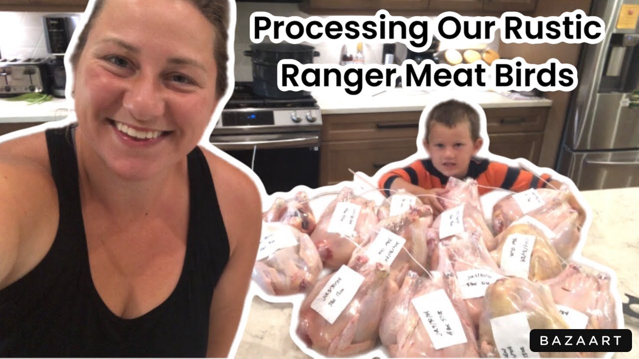 Processing Rustic Ranger Meat Birds: Step-by-Step Guide from Yard to ...