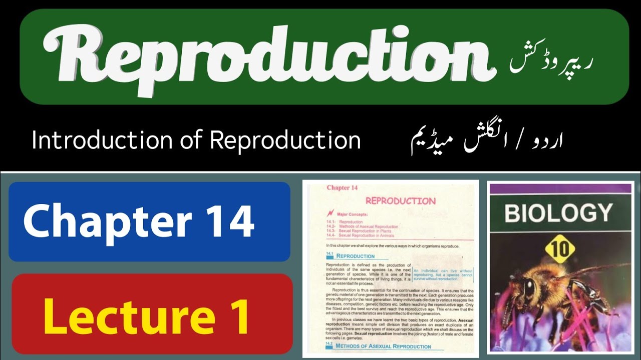 Introduction of Reproduction 10th biology chapter 14 | significance ...