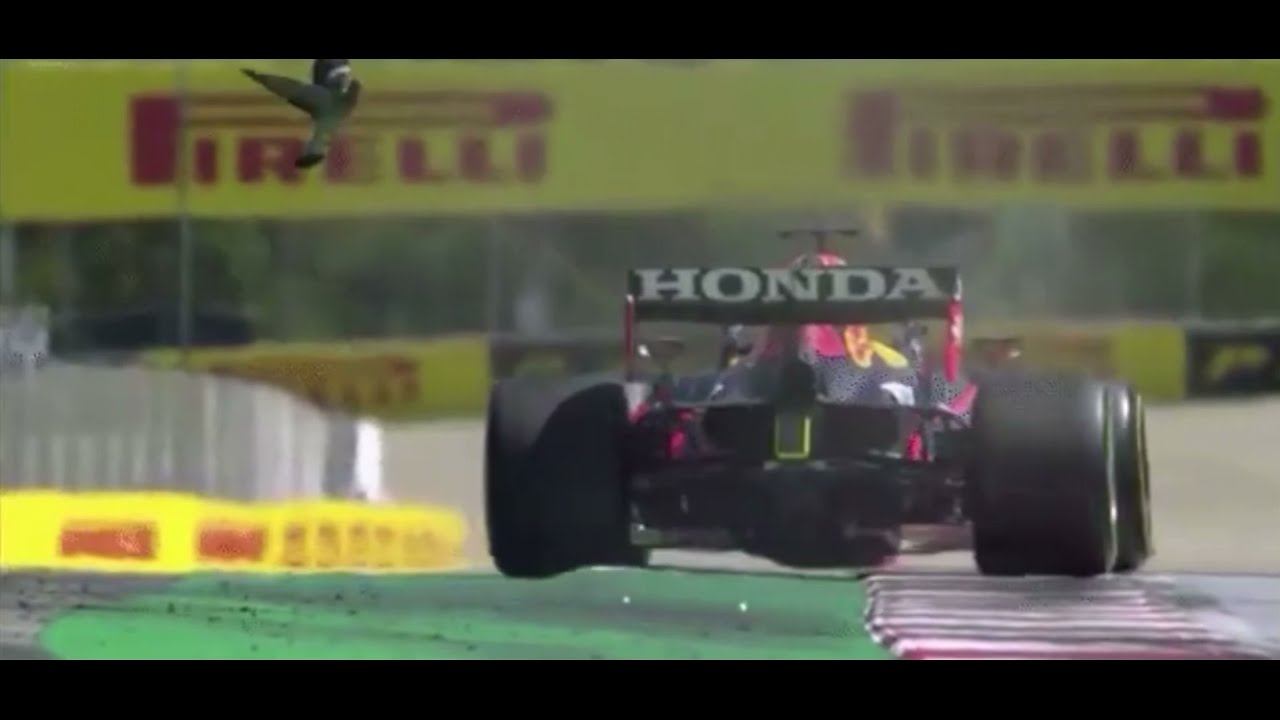 Red Bull F1 car almost hits a bird... - YouTube