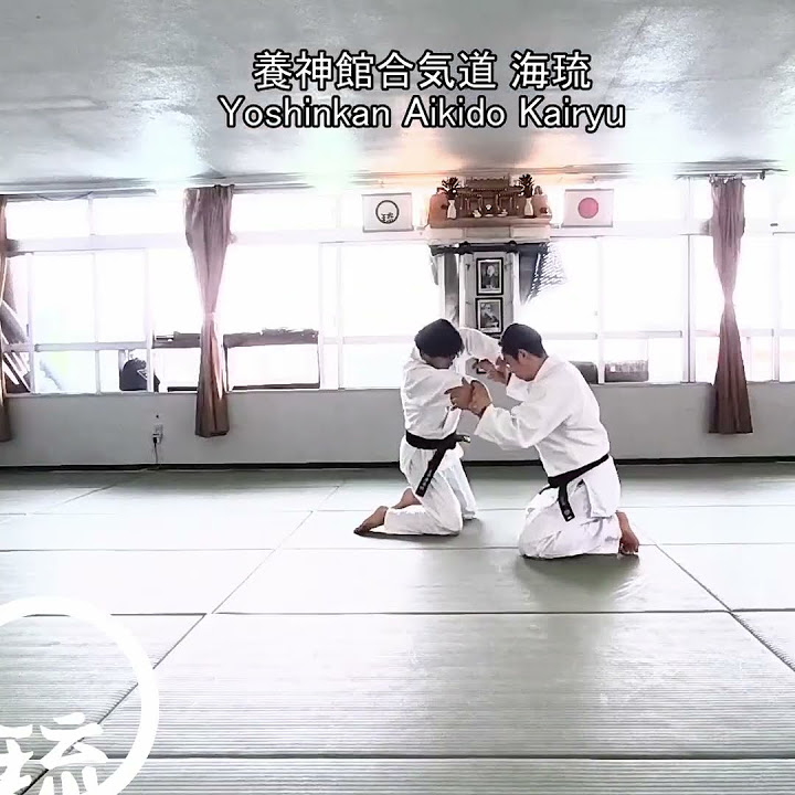 座技両手持ち四ヶ条抑え（一）Suwari waza Ryote mochi Yonkajo osae 1#shorts #aikido #martialarts #aikidolife ...