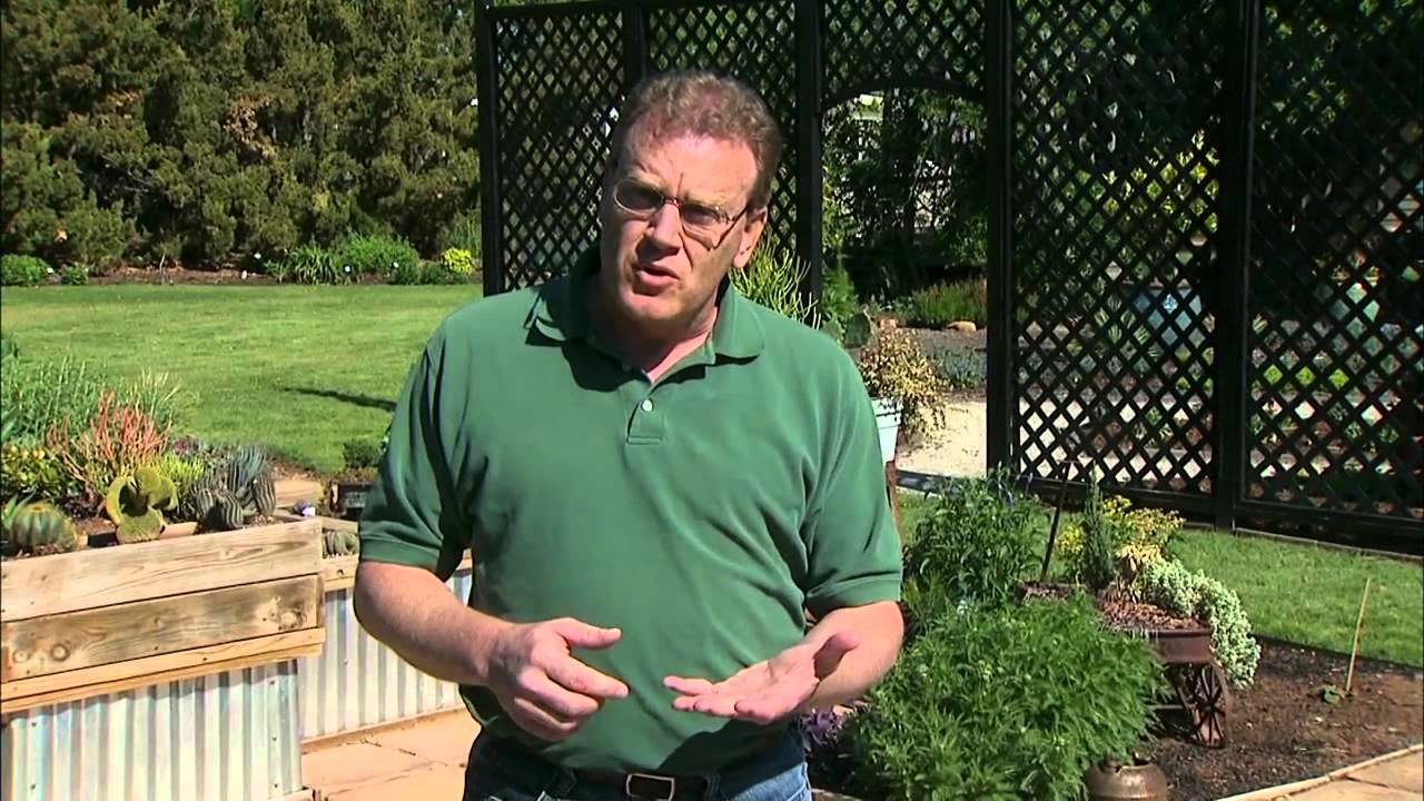 Horticulture Tips for May - YouTube
