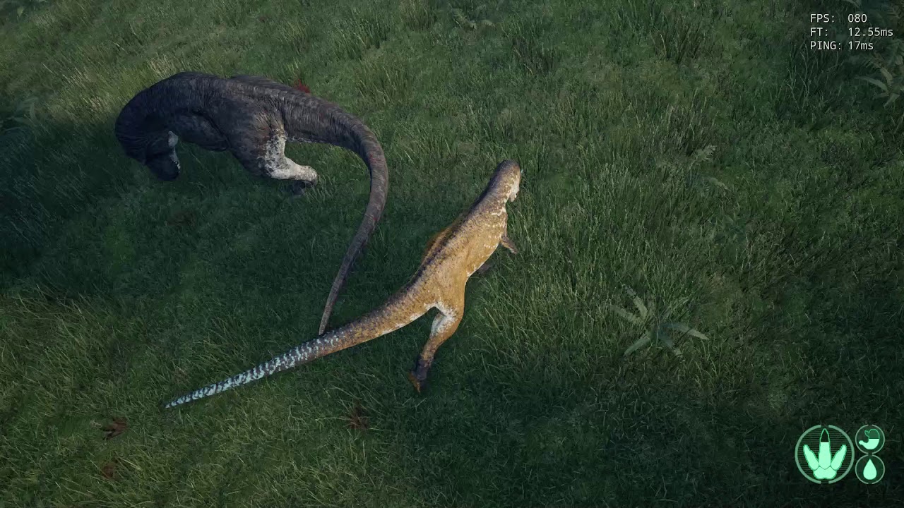 How to do the Allo Juke - Allo Rex 1v1 || The Isle Gameplay - YouTube