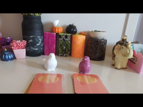 Kariyerinizle İlgili Tavsiyeler/ Nasıl İstediğiniz Hayatı Yaşarsınız/Deste Seç Tarot