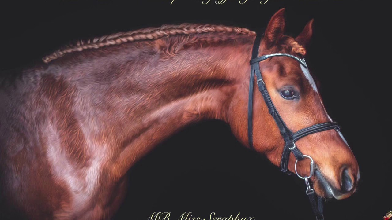 MB Miss Seraphyx: Offered for your consideration - YouTube