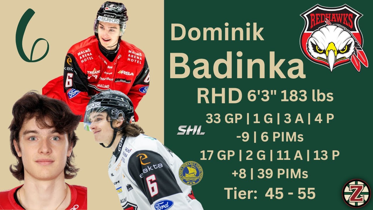 Dominik Badinka Malmö Redhawks SHL | Top 10 Sweden Prospects | 2024 NHL ...