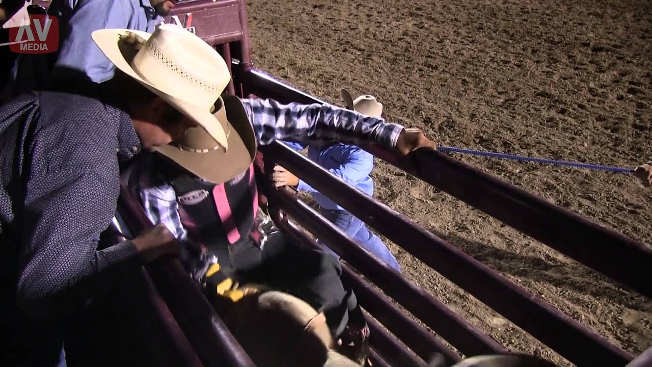 Bull jumps up in chute - Showdown Rodeo - YouTube