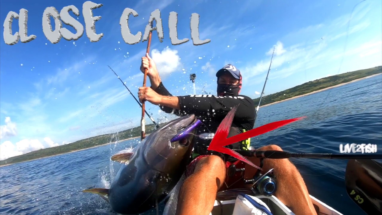Yellowfin Tuna | Flying hooks | Halco Rooster Popper - YouTube