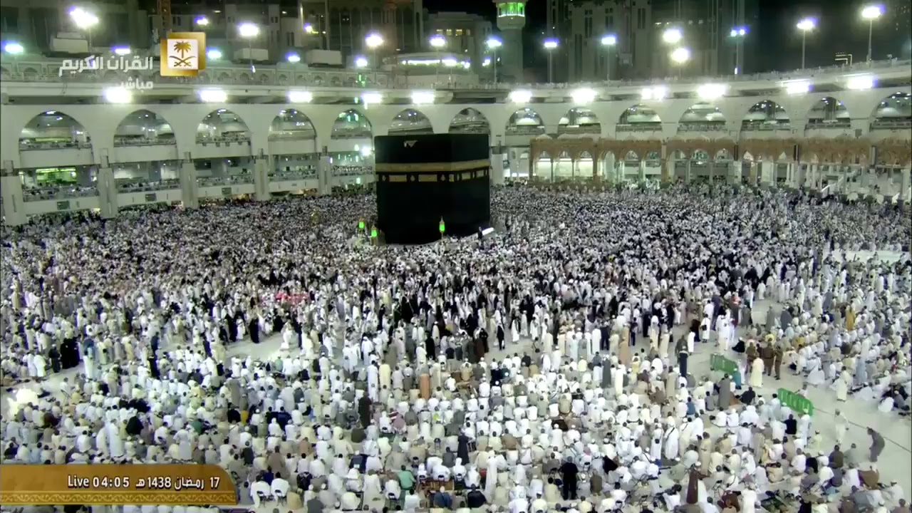 Macca Live TV Live Stream - YouTube