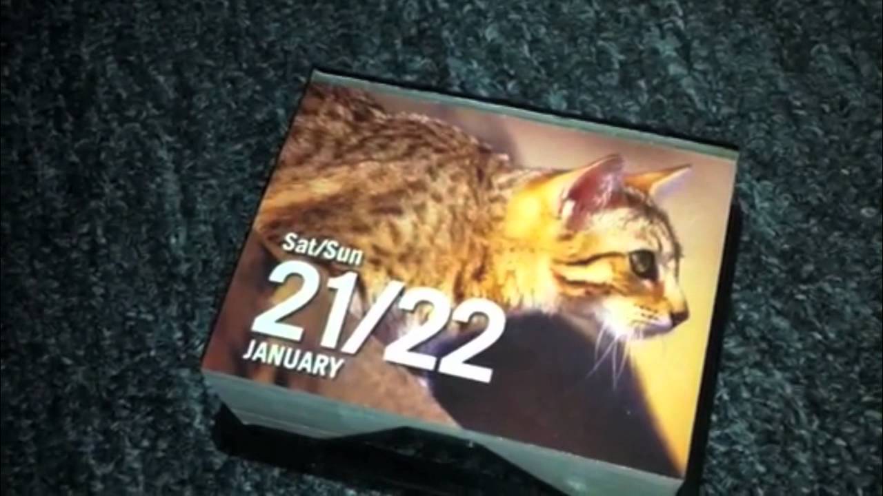 Pussy Calendar 210112 Youtube