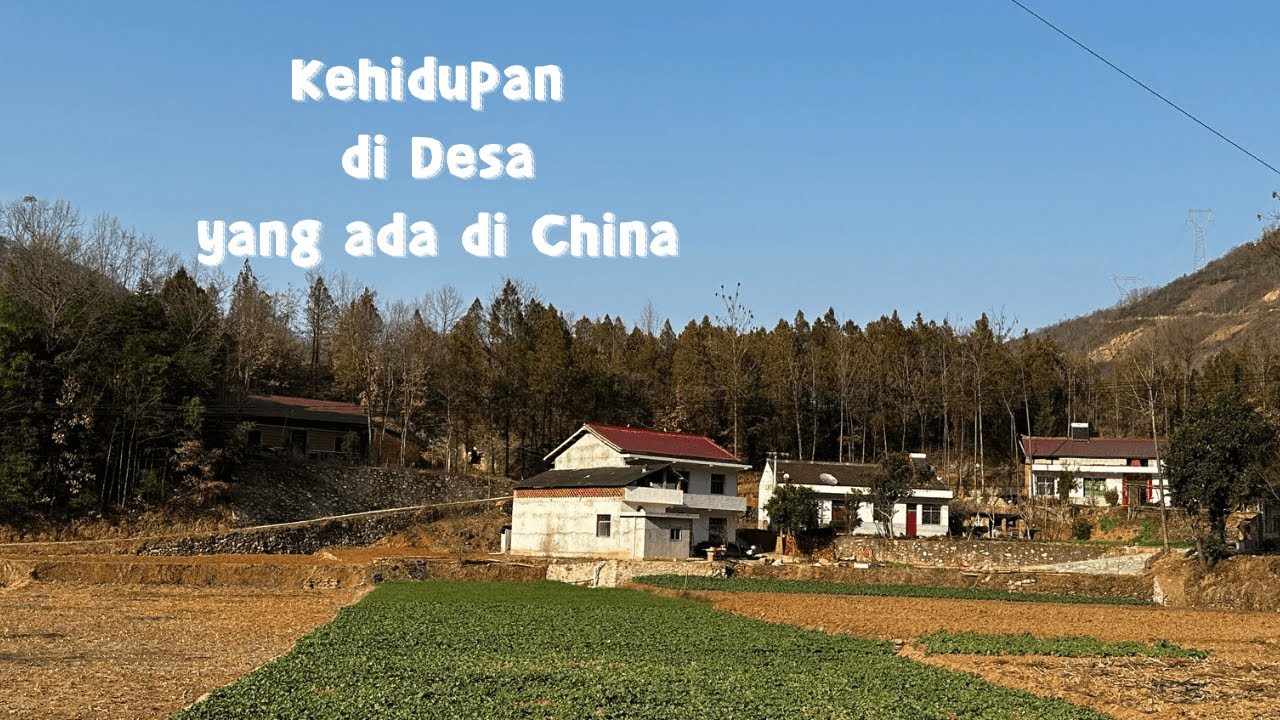 KEHIDUPAN DI DESA YANG ADA DI CHINA - YouTube