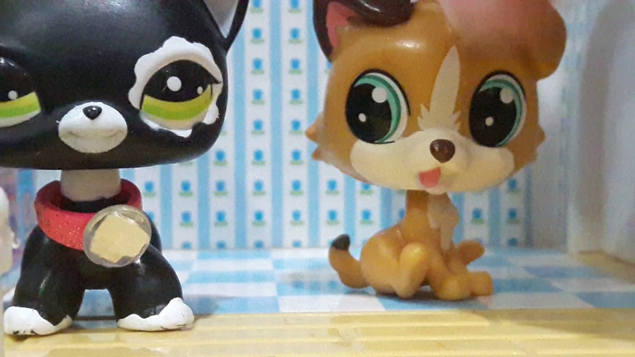 How to choose the perfect lps mascot! - YouTube