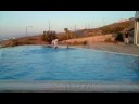Bier estafette romantica beach - YouTube
