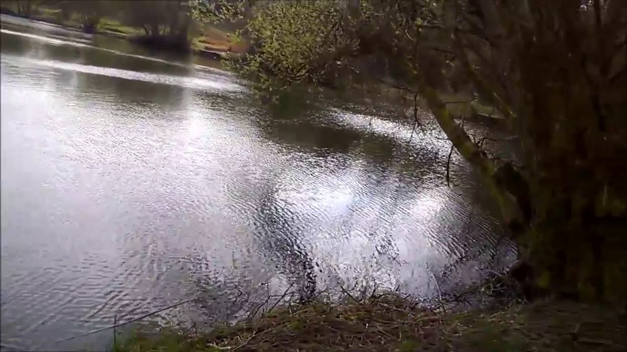 A walk around Gunville fishing lake, Newport, Isle of Wight - YouTube