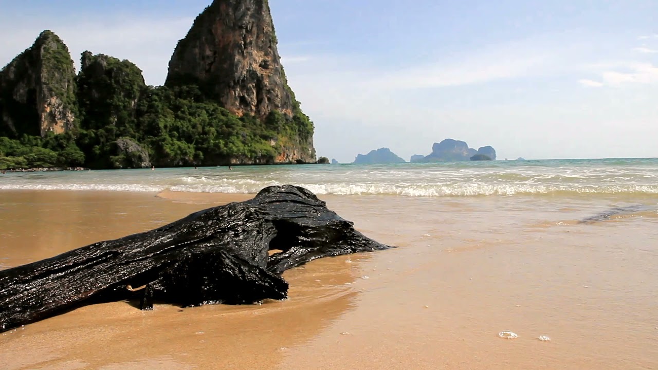 Conner Hyde - Dream (Official Music Video) - YouTube