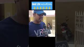 The Goat Life Talk The Goat Life Aadujeevitham Public Review Telugu ...