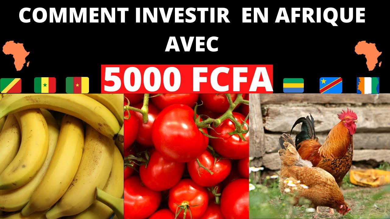COMMENT INVESTIR EN AFRIQUE AVEC 5000 FCFA - YouTube